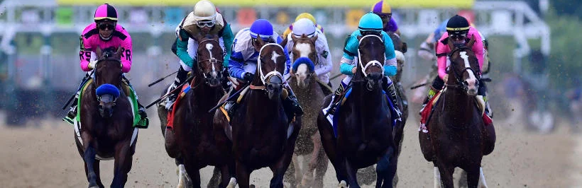 Expert du Turf : Formation, Pronostics Gratuits 🎁 et Conseils pour ...